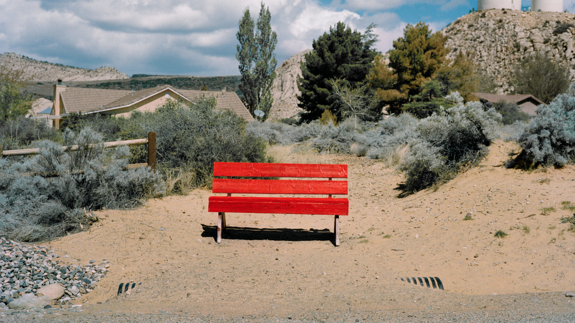 Photography - Sean Conaty