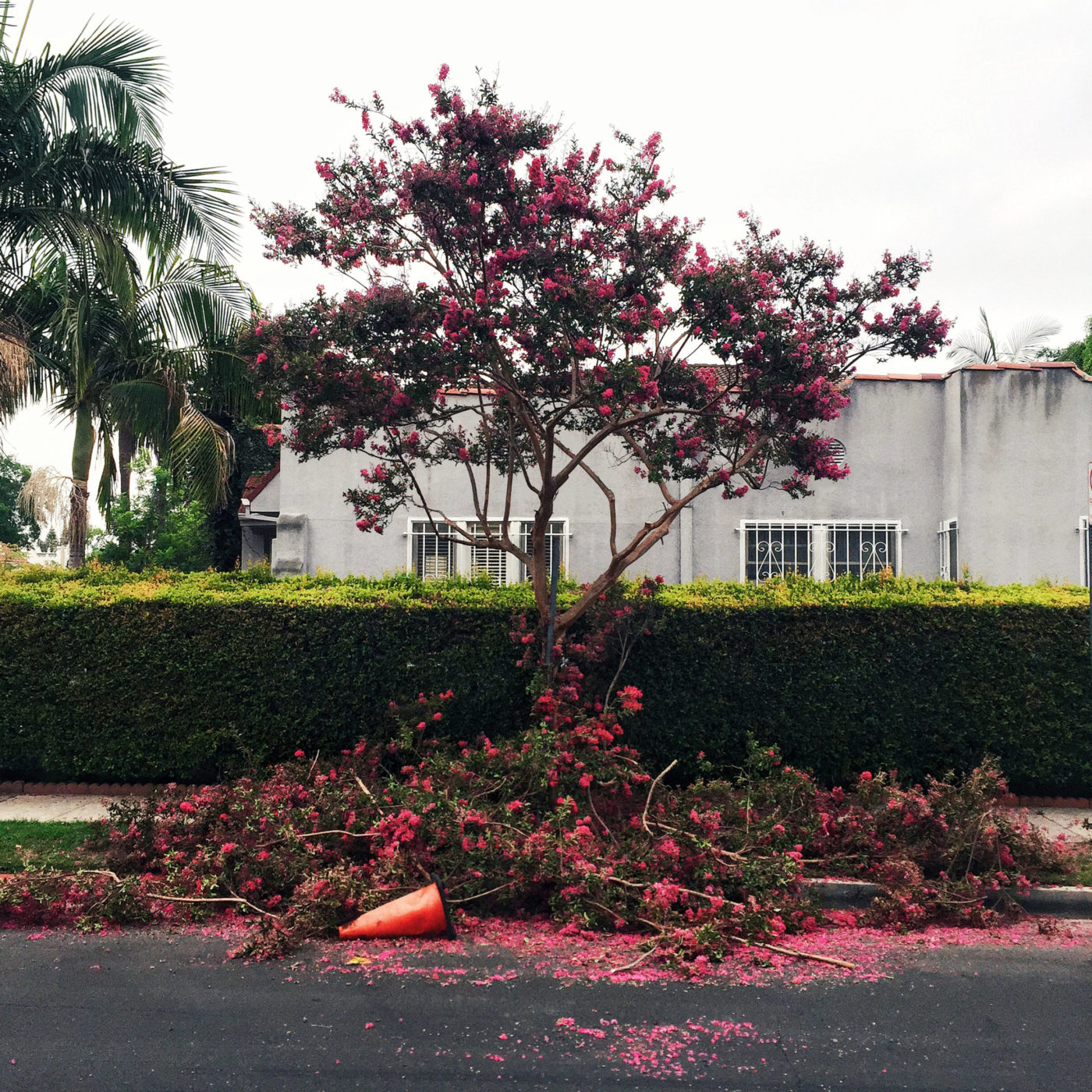 Out of Place - Sean Conaty